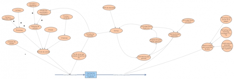 Proyecto_Segunda_Entrega | Insight Maker