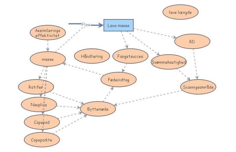 Fiskelarve model | Insight Maker