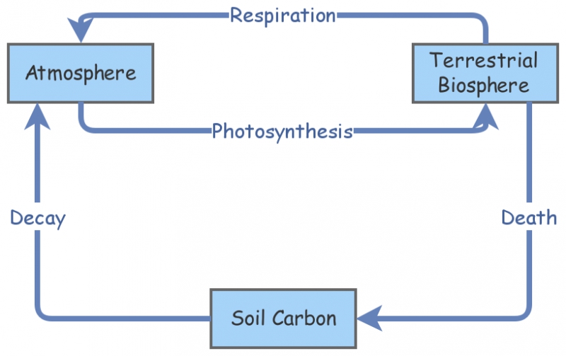 Carbon Cycle Model atmosphere biosphere | Insight Maker