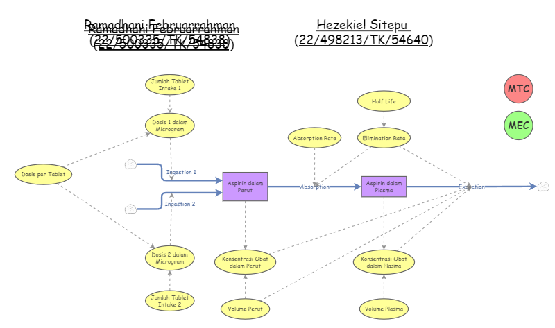 Tugas 2 TPS: Two Compartment Model of Aspirin with Two Intake | Insight Maker