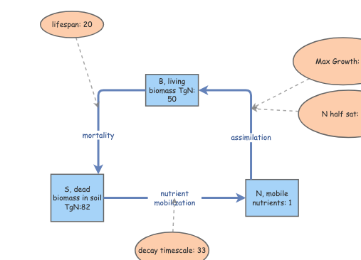 Midterm - Terrestrial N cycle model template | Insight Maker