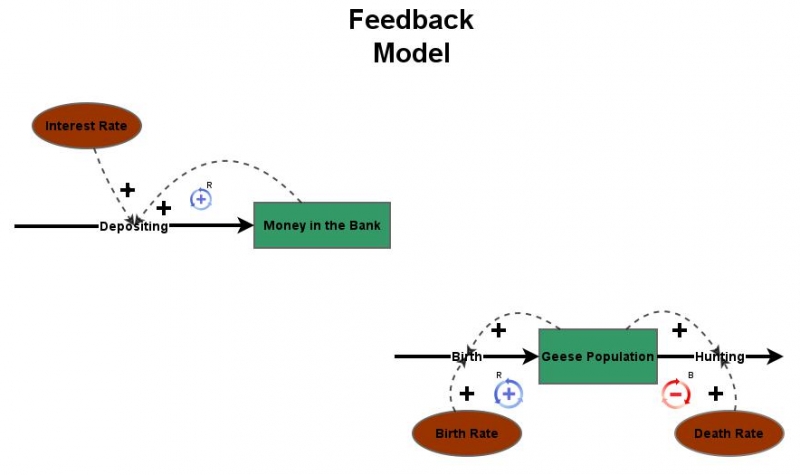 Feedback Model | Insight Maker