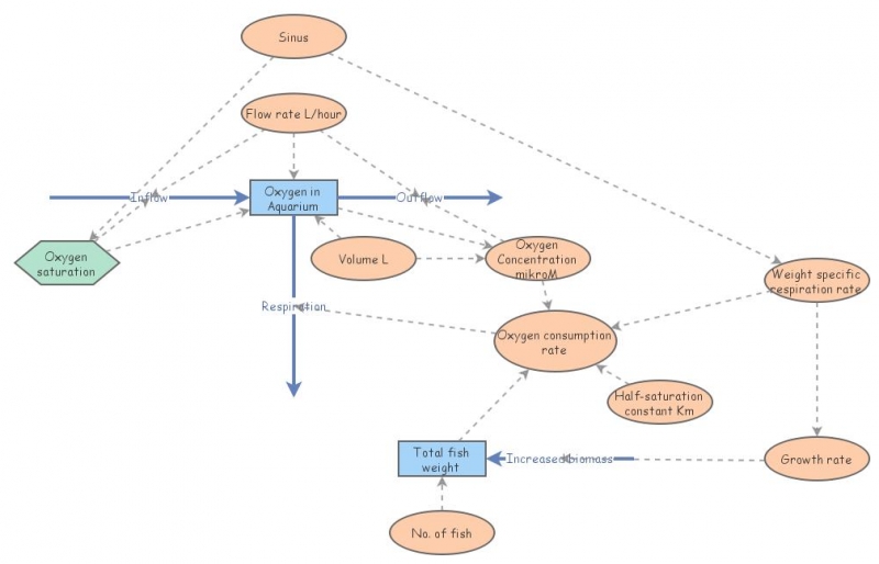 Basic. | Insight Maker