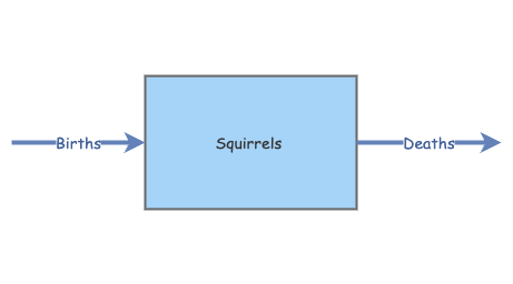 squirrel stock and flow | Insight Maker