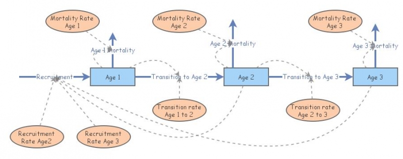 Lab 3 | Insight Maker
