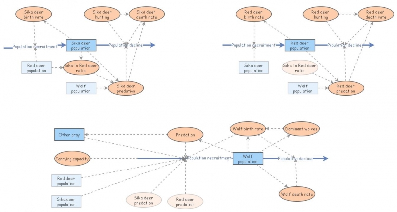 Wolf/red deer/sika deer interaction | Insight Maker