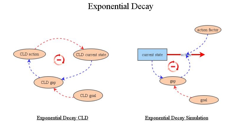 Exponential Decay | Insight Maker