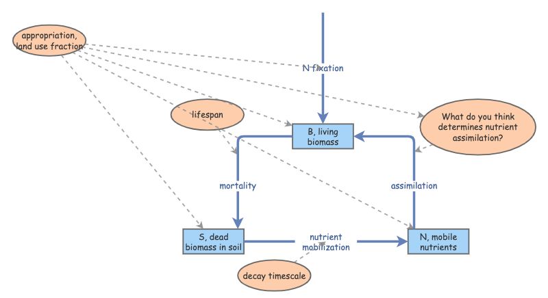 Clone of Terrestrial N cycle model template | Insight Maker