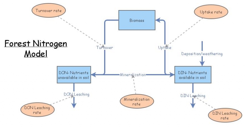 Forest: Nitrogen Cycle Model | Insight Maker
