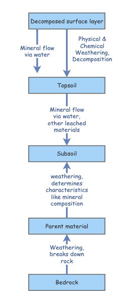 soil system | Insight Maker