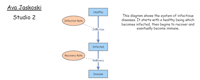 Ava Jaskoski - Studio 2 | Insight Maker