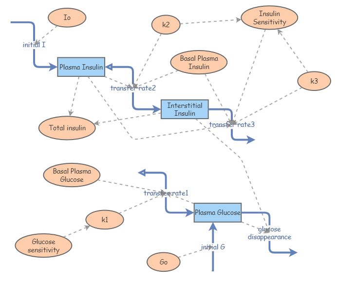 Clone of Glucose minimal model | Insight Maker