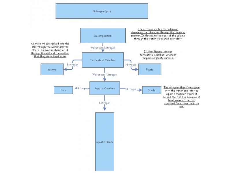 nitrogen cycle in an ecocolumn | Insight Maker