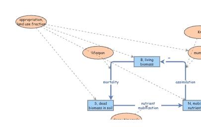 Clone of Terrestrial N cycle model template | Insight Maker