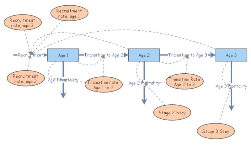 LAB 3 - pop dynamics | Insight Maker