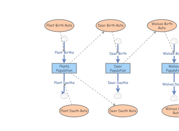 My first Insight | Insight Maker