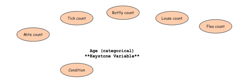 Conceptual Model | Insight Maker
