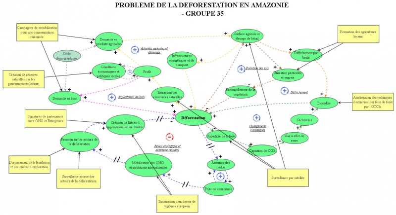 Clone of Deforestation en Amazonie - Groupe 35 | Insight Maker