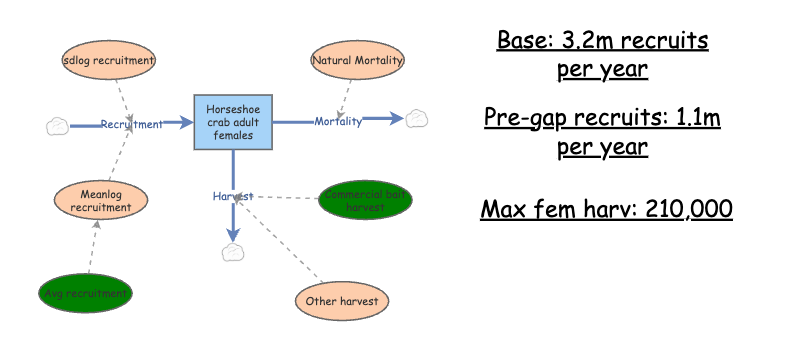 Clone of Horseshoe crab model | Insight Maker