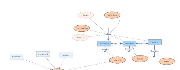 PVA Model From Meeting | Insight Maker