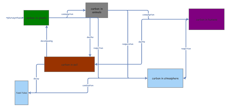 carbon stock and flow | Insight Maker
