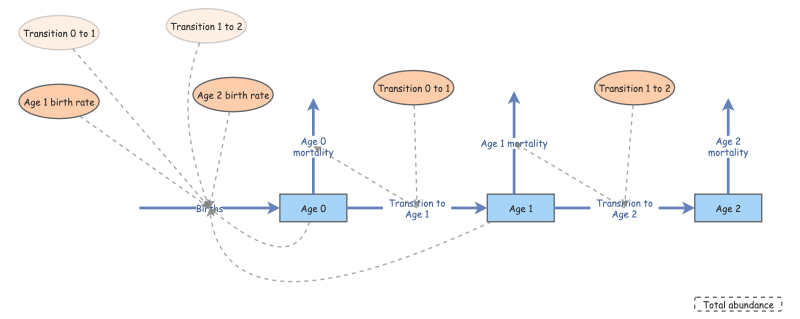 Lab 4: Age-Structure Population Matrix | Insight Maker
