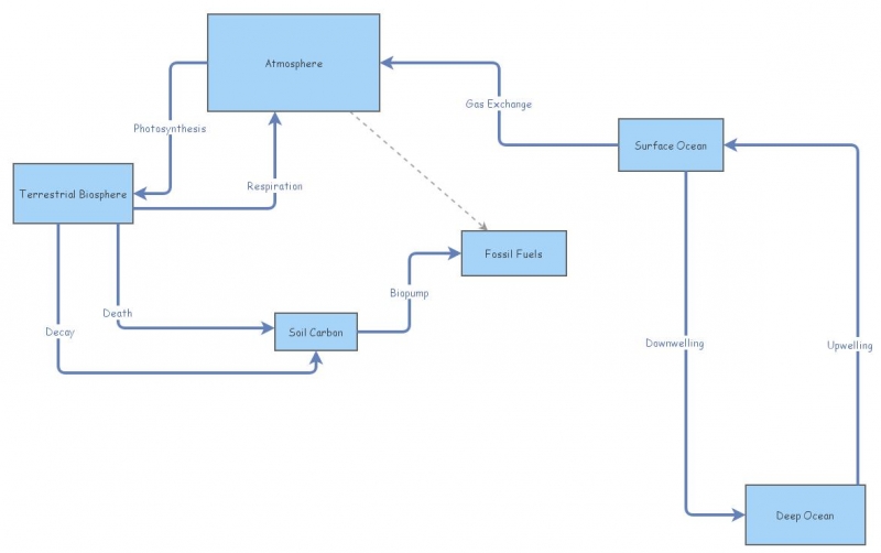 Carbon Cycle | Insight Maker
