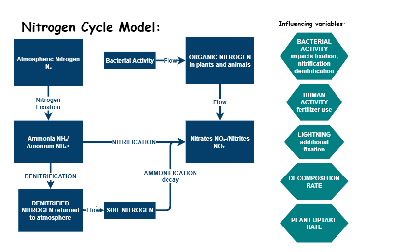 Nitrogen Cycle Model Insight Maker 7081