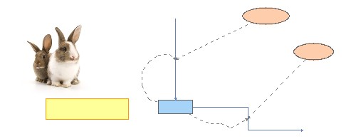 Rabbits Tinkering | Insight Maker