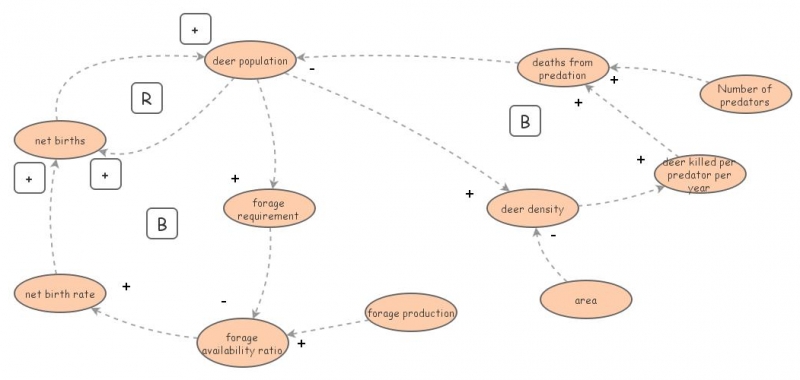 Causal loop diagram | Insight Maker