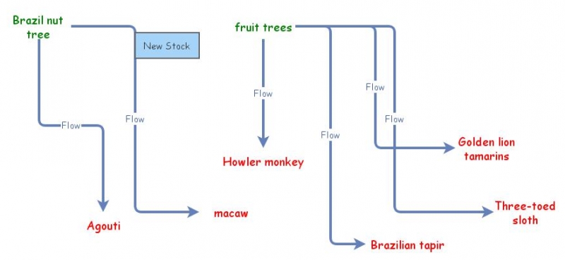 Amazon rain-forest food web | Insight Maker