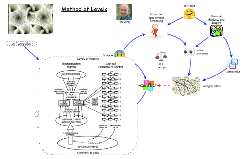 Method of Levels Psychotherapy | Insight Maker