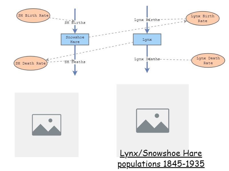 Clone of Bio Project-Lynx/Snowshoe Hare-->Predator/Prey Relationship | Insight Maker