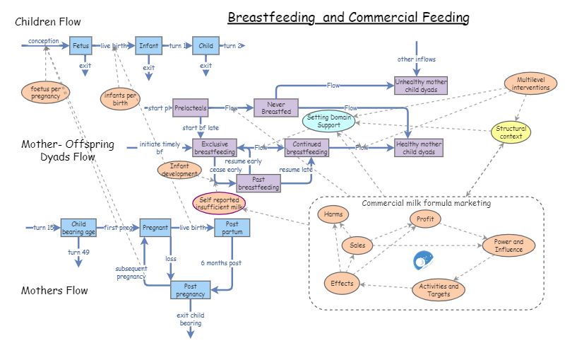 Breastfeeding Framework | Insight Maker