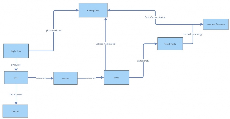 carbon cycle | Insight Maker
