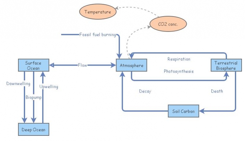 Carbon Cycle | Insight Maker