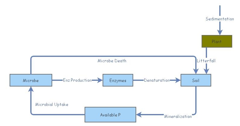 Enzyme project model | Insight Maker