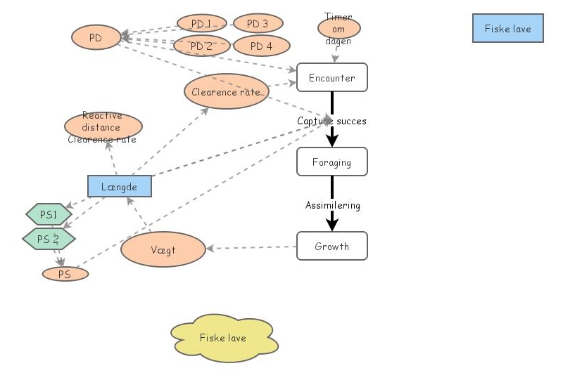 Fiskelarve model | Insight Maker