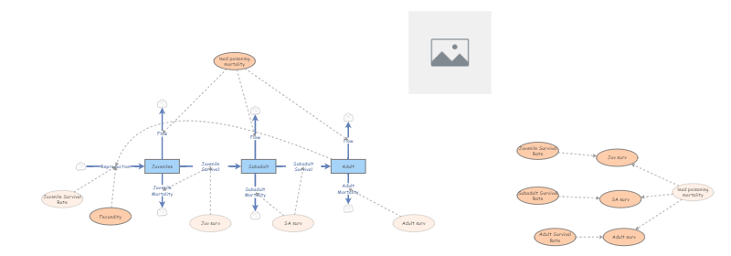 Vulture PVA | Insight Maker