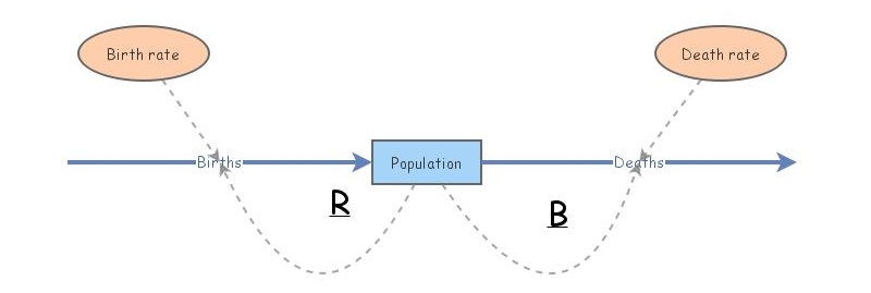 Population - Balancing Feedback Loop | Insight Maker