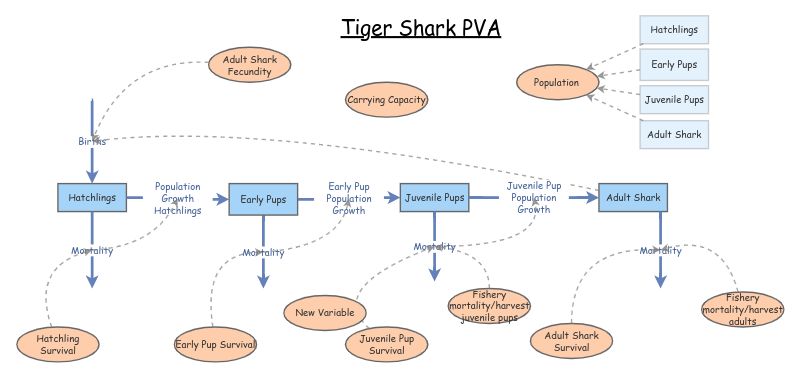 Clone of Tiger Shark PVA Model | Insight Maker