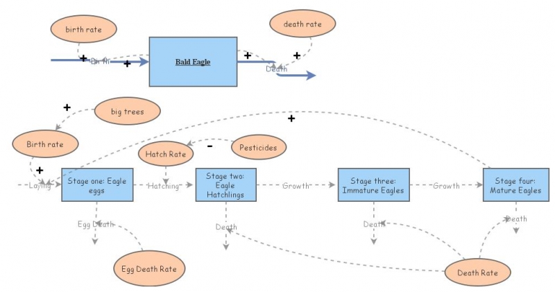blad eagle | Insight Maker