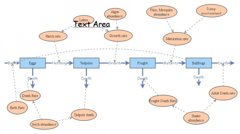 Nunez-life cycle | Insight Maker