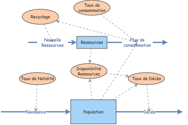 Exercice 4 - Dynamique d'une population | Insight Maker