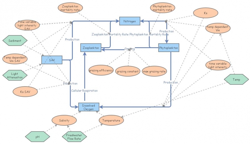 Conceptual NPZ+ | Insight Maker