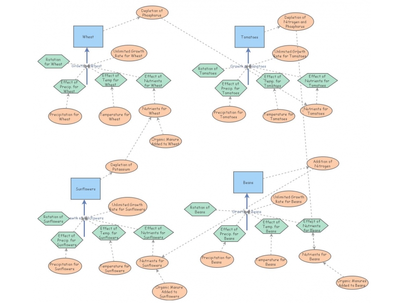 Primitive Final Project | Insight Maker