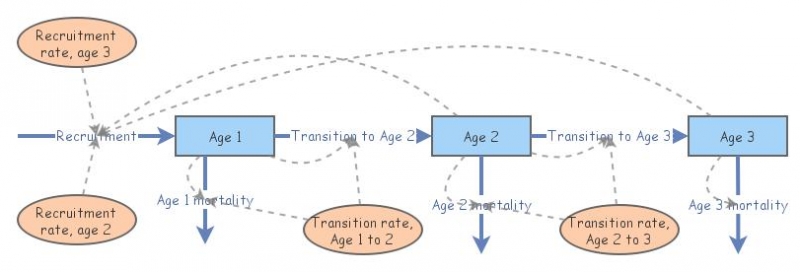 Lab 3 Exercise 3 | Insight Maker