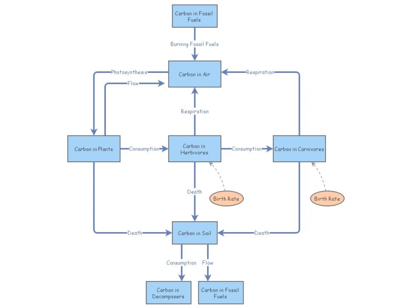 Carbon Cycle | Insight Maker