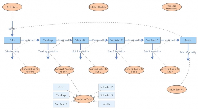 Initial Grizzly PVA | Insight Maker