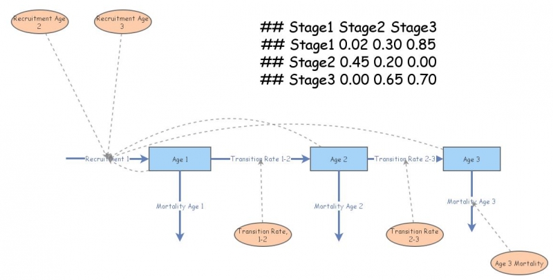 Lab 4 matrix population 2c-d | Insight Maker